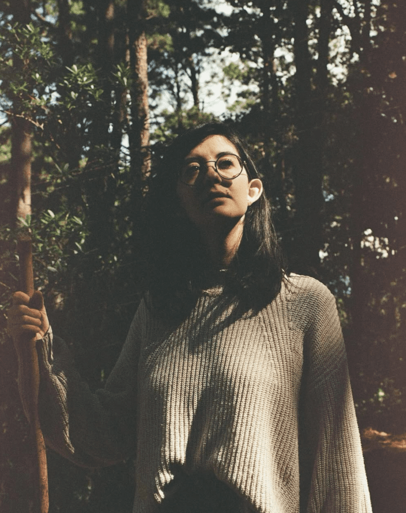 La luz le pega a un árbol - ERRR MAGAZINE